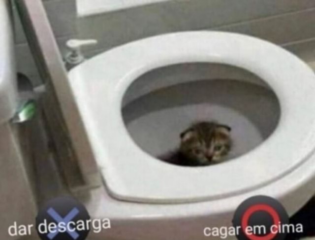Só vale memes e ironias - ar descarga dar cagar em cima - iFunny Brazil