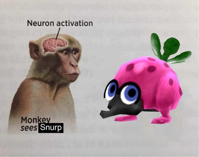 Neuron activation Monk sees Snurp - iFunny Brazil