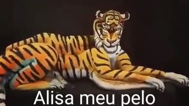 AS Alisa meu pelo - iFunny Brazil