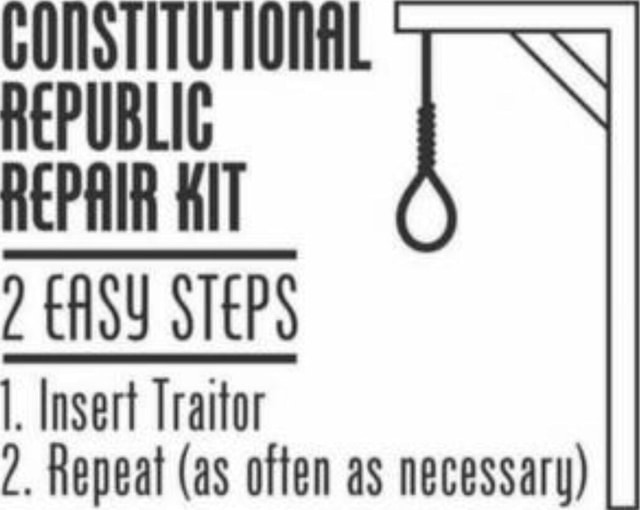 CONSTITUTIONAL REPUBLIC REPAIR HIT 2 EASY STEPS I. Insert Traito 2 ...