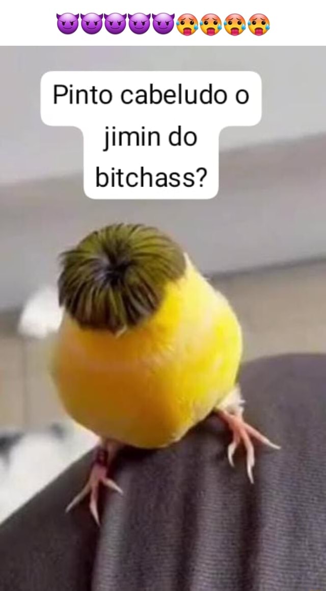 Pinto Cabeludo Jimin Do Bitchass Ifunny Brazil