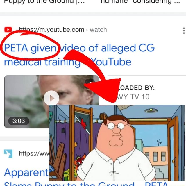 PUPPY watch PETA given Apparent, ideo of alleged CG - iFunny Brazil
