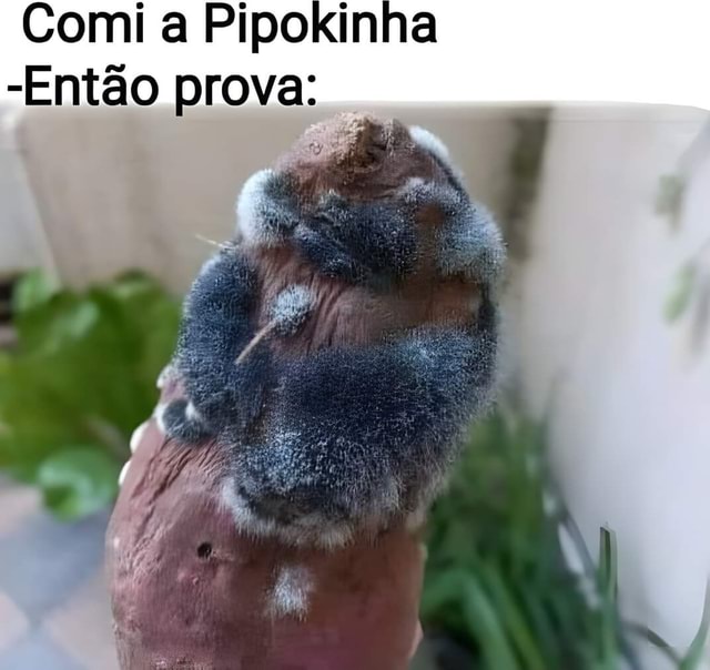 Comi a Pipokinha -Então prova: - iFunny Brazil