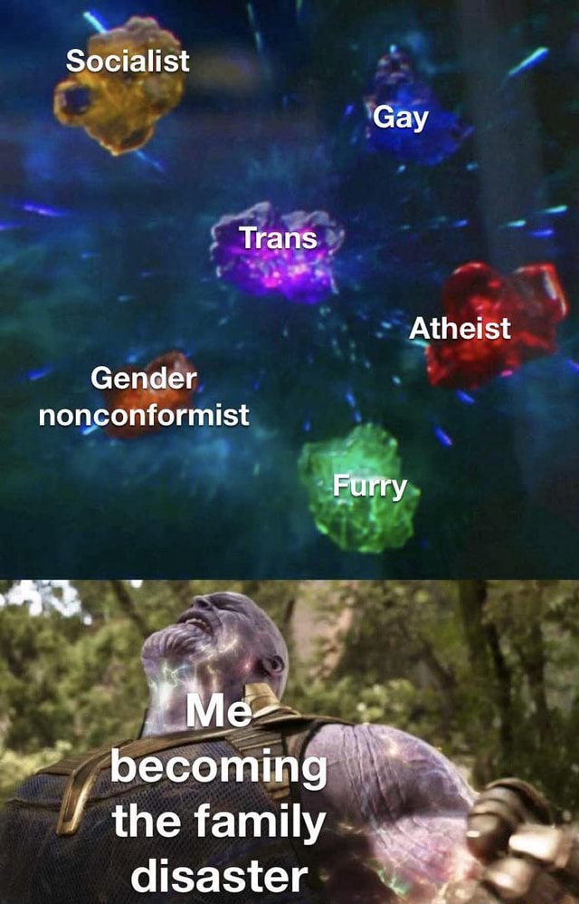 Socialist Gay Trans Atheist Gender nonconformist Furry 'Me becoming the ...