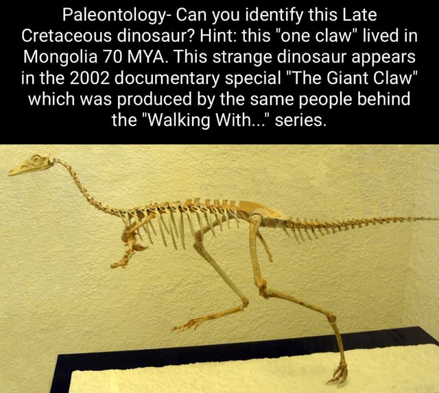 Paleontology- Can you identify this Late Cretaceous dinosaur? Hint ...