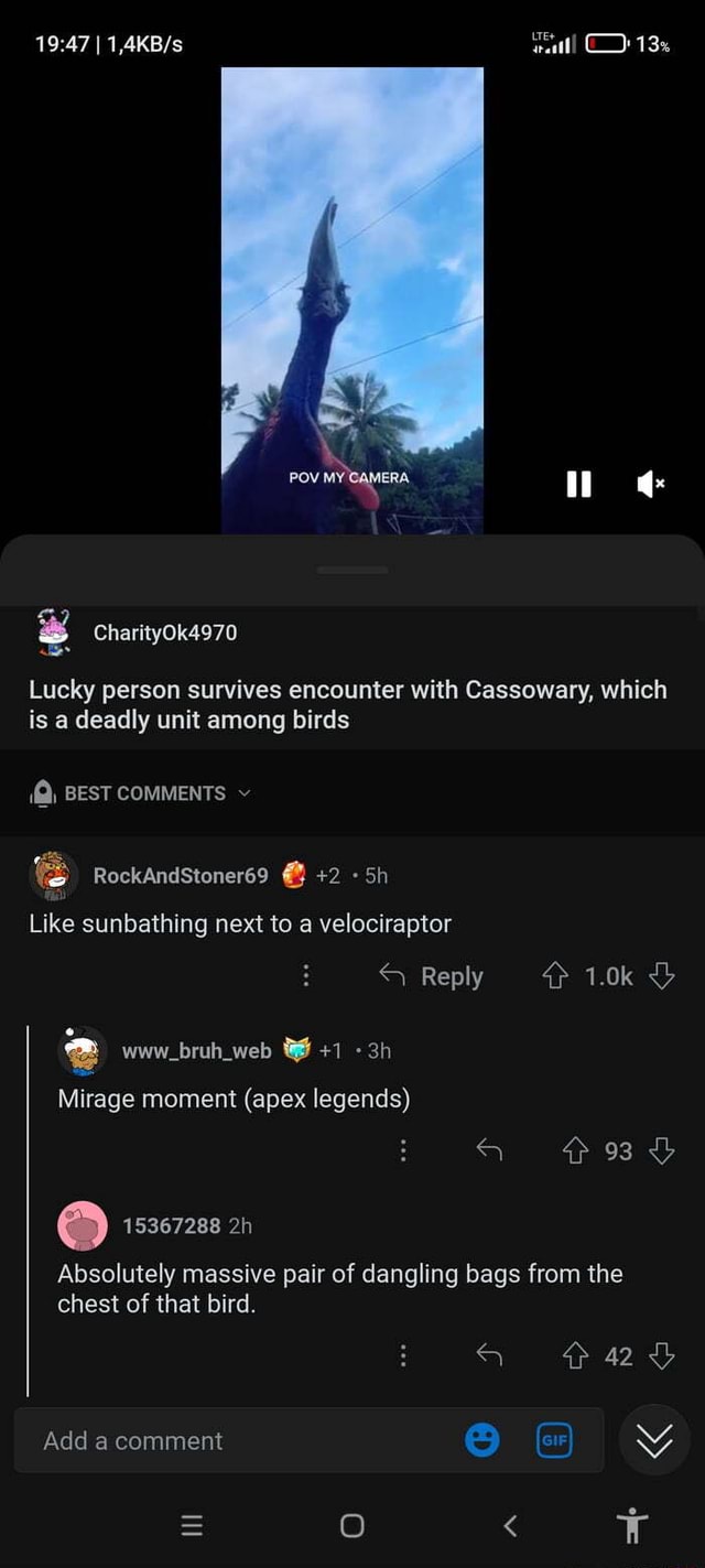 Lucky person survives encounter with Cassowary, which is a deadly unit ...
