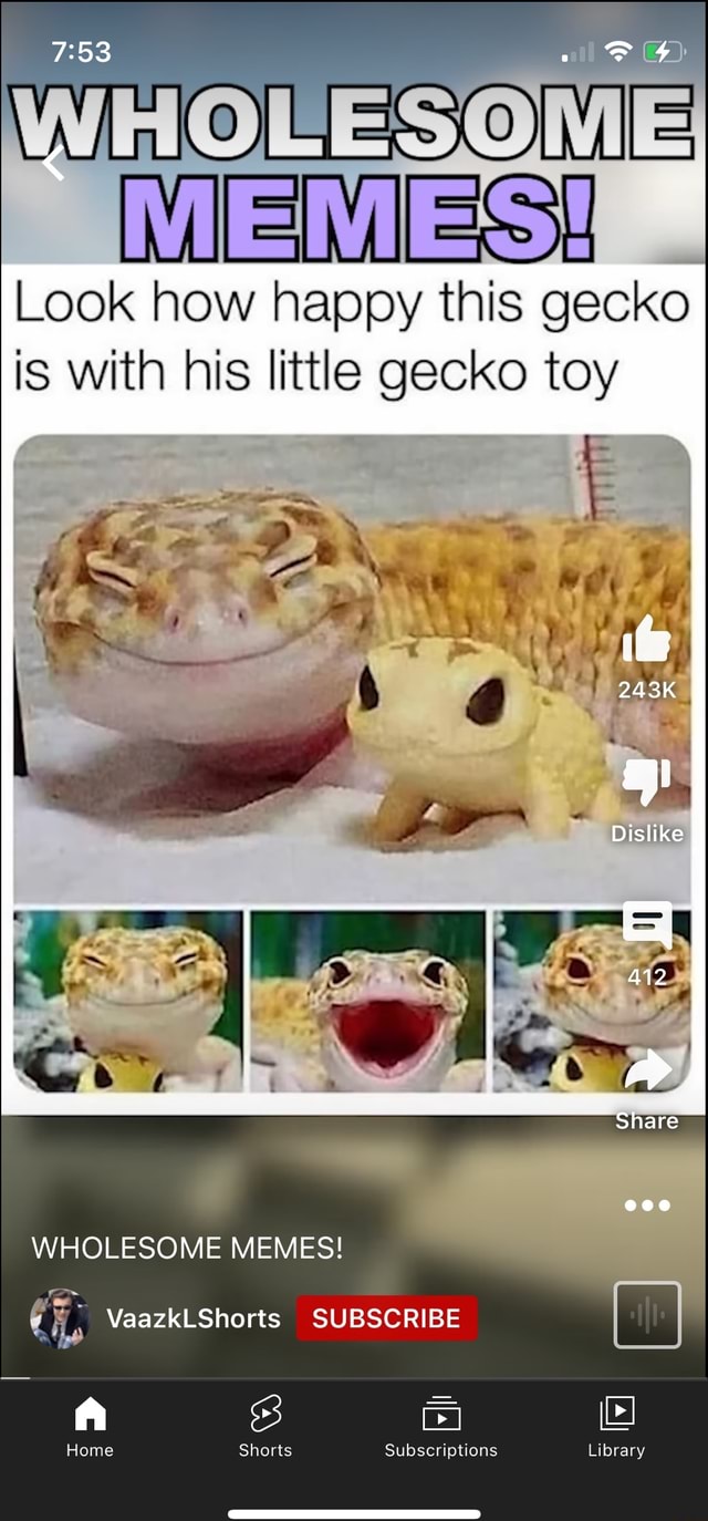 WHOLESON MEMES! Look how happy this gecko is with his little gecko toy ...