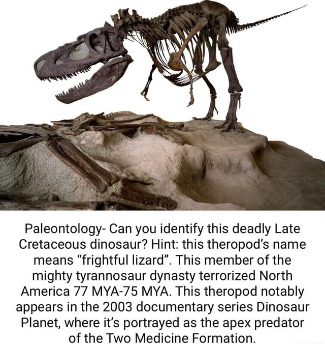 Paleontology- Can you identify this deadly Late Cretaceous dinosaur ...