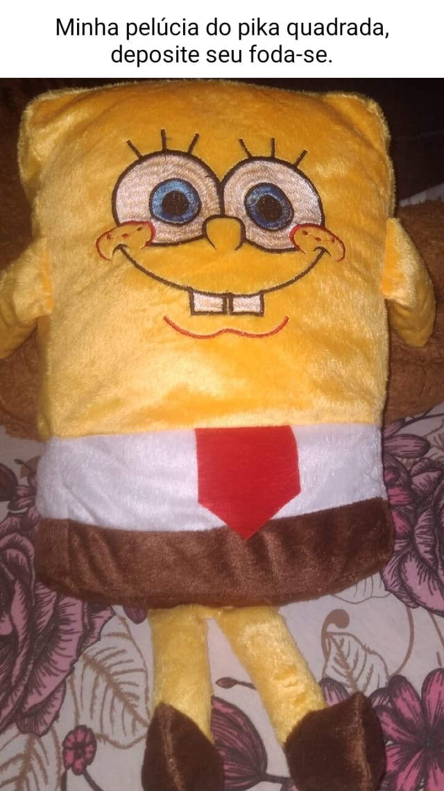 Minha Pelúcia Do Pika Quadrada Deposite Seu Foda Se Ifunny Brazil