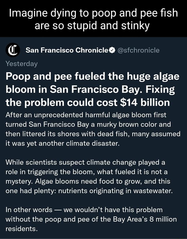 Imagine dying to poop and pee fish are so stupid and stinky CC San ...