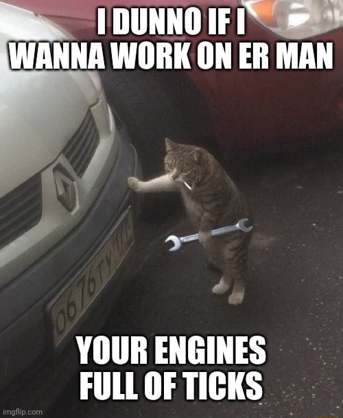 IDUNNOIFI WANNA WORK ON ER MAN YOUR ENGINES FULL OF TICKS - iFunny Brazil