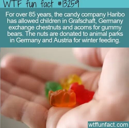 WE tun For over 85 years, the candy company Haribo has allowed children ...