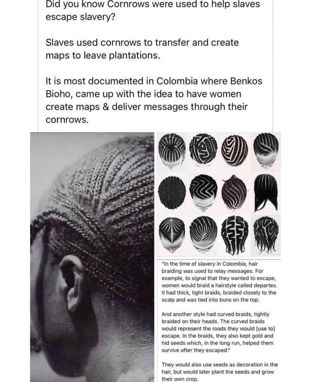 Did you know Cornrows were used to help slaves escape slavery? Slaves ...