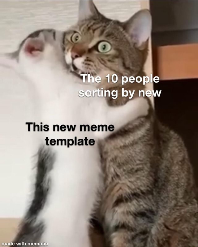 The 10 people sorting This new meme template made with mematig - iFunny ...