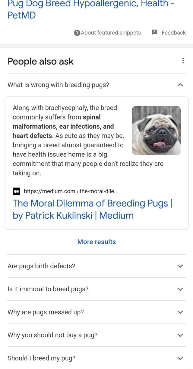 Rug DOg breed Hypoallergenic, nealtn - PetMD @About featured snippets ...