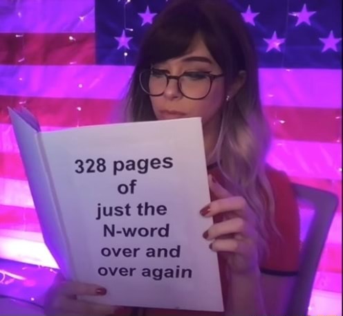 328 pages of just the N-word over and over again - iFunny Brazil