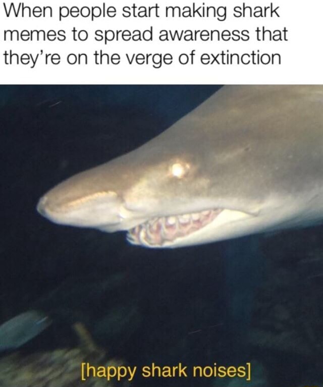 When people start making shark memes to spread awareness that they're ...