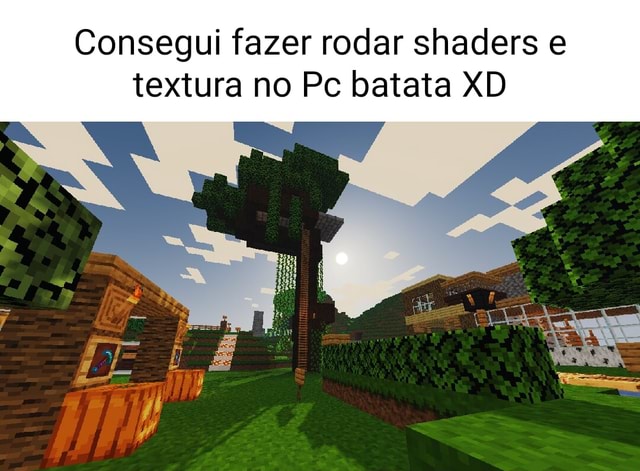 Consegui fazer rodar shaders textura no Pc batata XD - iFunny Brazil