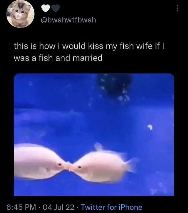 This is how i would kiss my fish wife if i was a fish and married PM ...