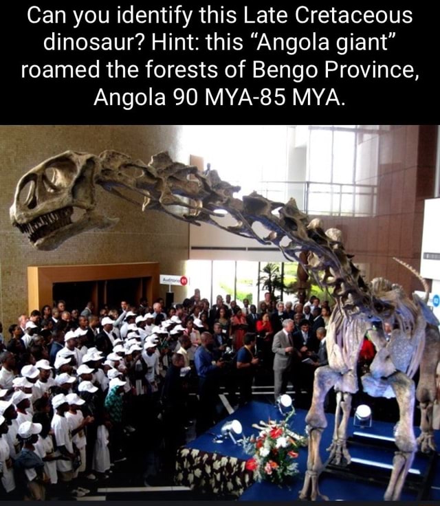 Can you identify this Late Cretaceous dinosaur? Hint: this "Angola ...