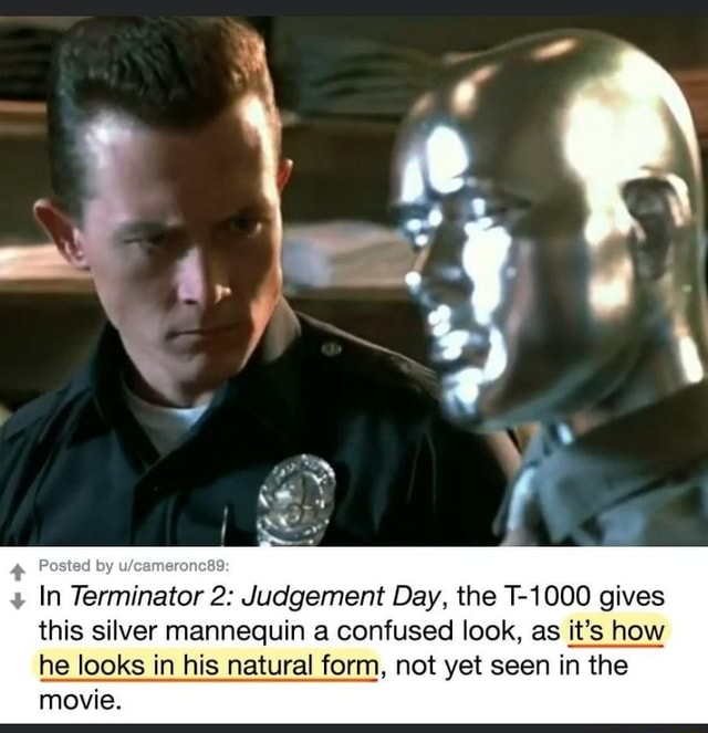 Pc by In Terminator 2: Judgement Day, the T-1000 gives this silver ...