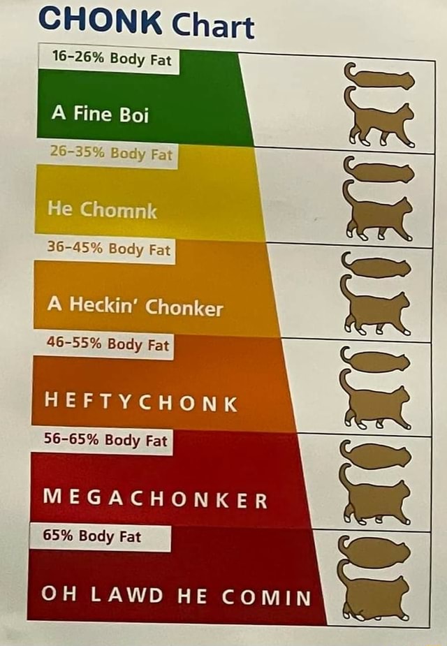 CHONK Chart 16-26% Body Fat I A Fine Boi 26-35% ody Fat I He Chomnk 36 ...
