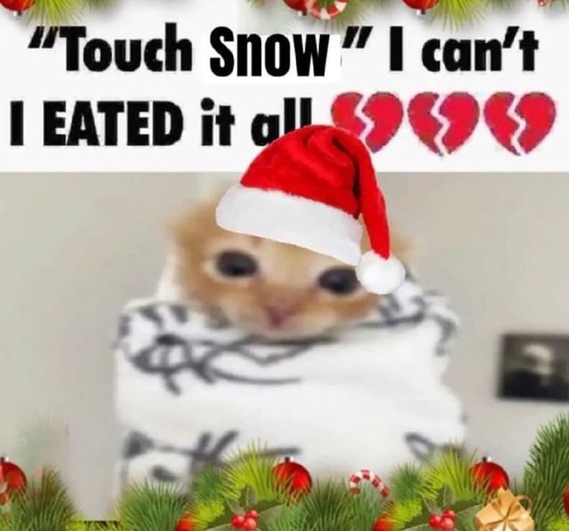 Ouch can't Snow " I can't I EATED it alL EPED - iFunny Brazil