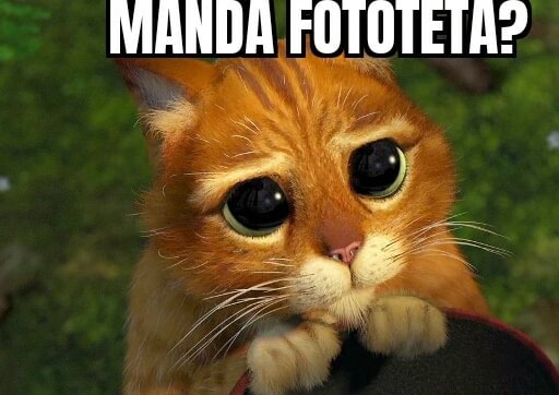 MANDA FOTOTETA? - iFunny Brazil