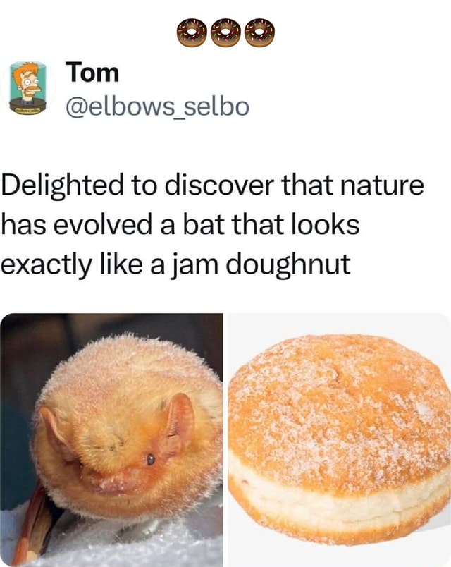 Tom tes) @elbows selbo Delighted to discover that nature has evolved a ...
