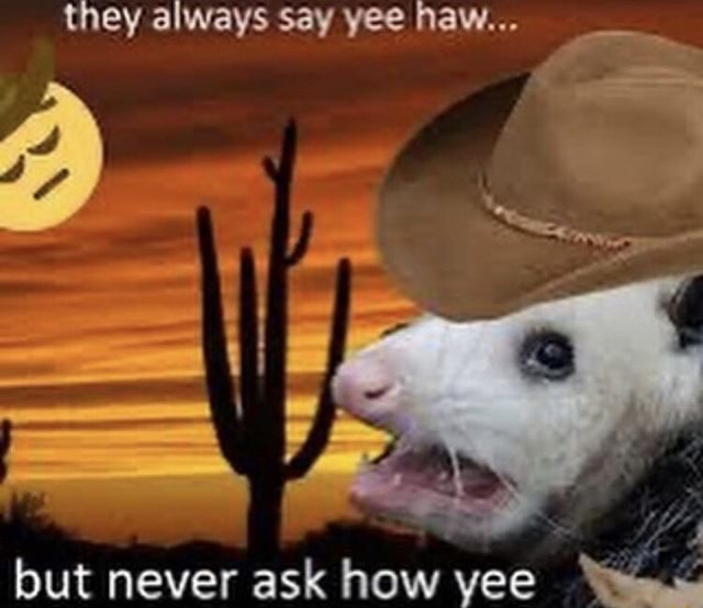 They always say yee haw... but never ask how yee me ip - iFunny Brazil