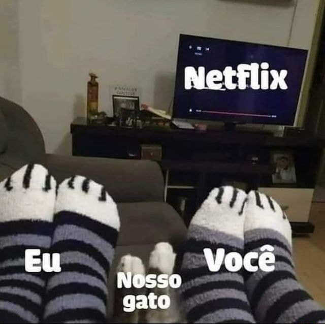 Nosso gato Netflix Voce - iFunny Brazil