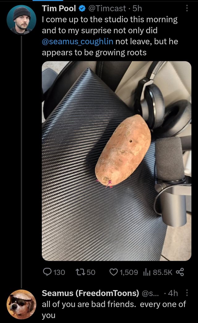 Tim Pool @Timcast I come up to the studio this morning and to my ...