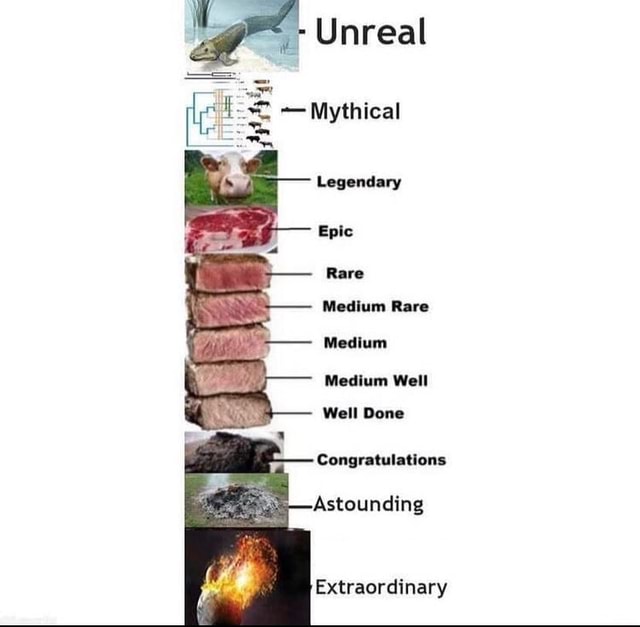 Unreal Mythical Legendary Epic Rare Medium Rare Medium Medium Well Well ...