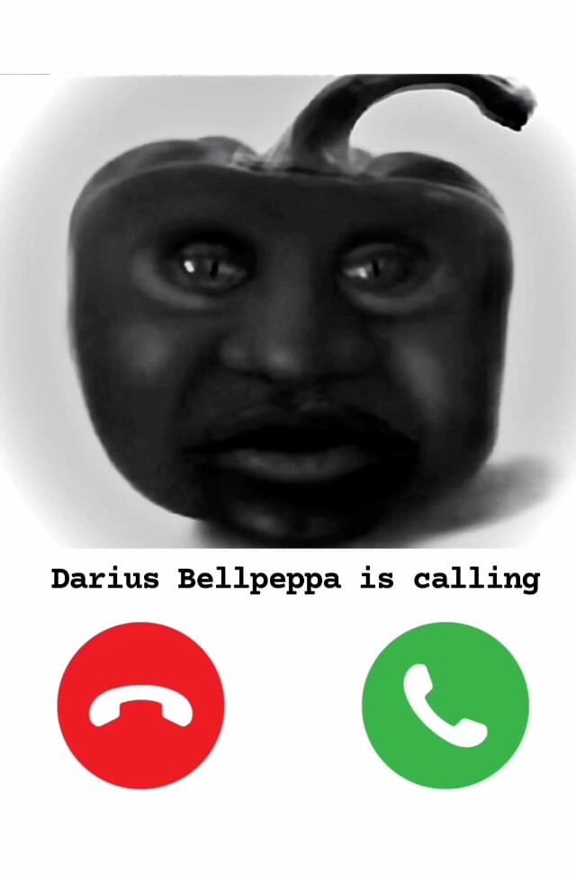 Darius Bellpeppa is calling - iFunny Brazil