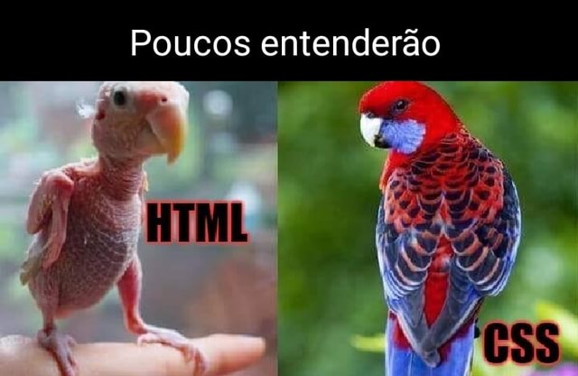 Poucos entenderão I - iFunny Brazil