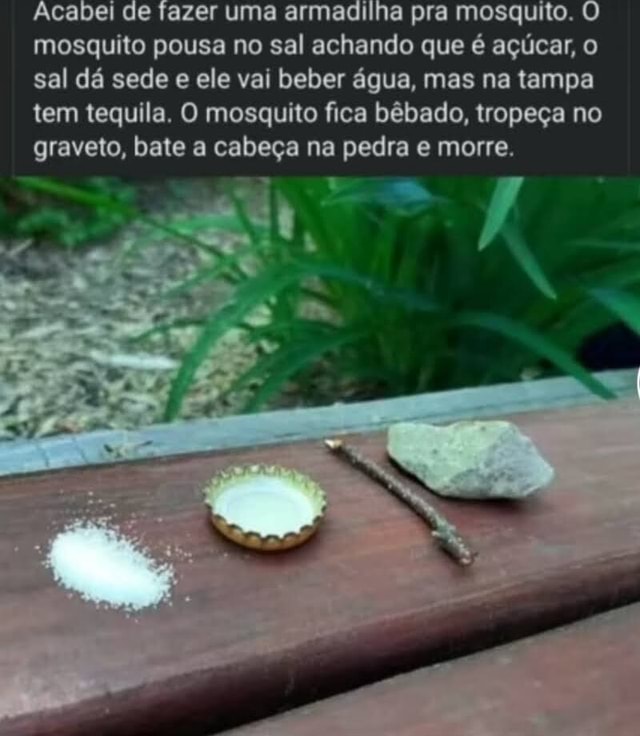 Acabei de fazer uma armadilha pra mosquito. O mosquito pousa no sal ...