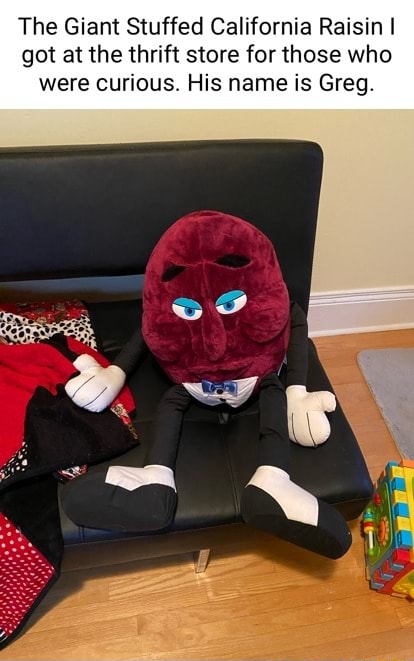 The Giant Stuffed California Raisin I got at the thrift store for those ...