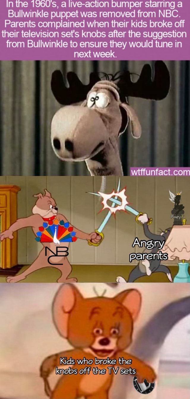 In the 1900's, a live-action bumper starring a Bullwinkle puppet was ...