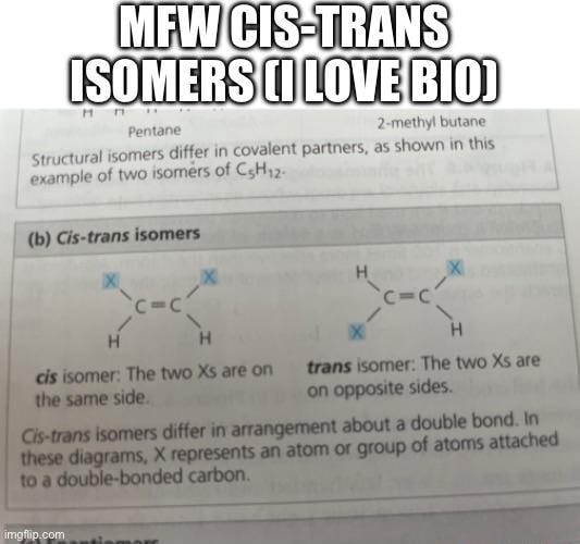Egg_irl - TRANS) Pentane 2-methyl butane Structural isomers differ in ...
