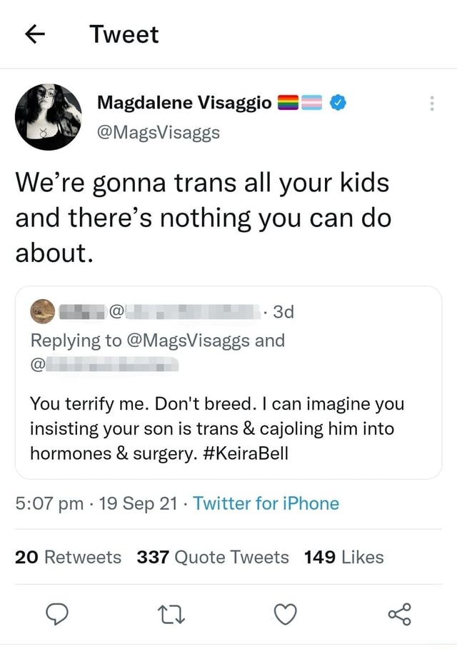 Tweet Magdalene Visaggio We're gonna trans all your kids and there's ...
