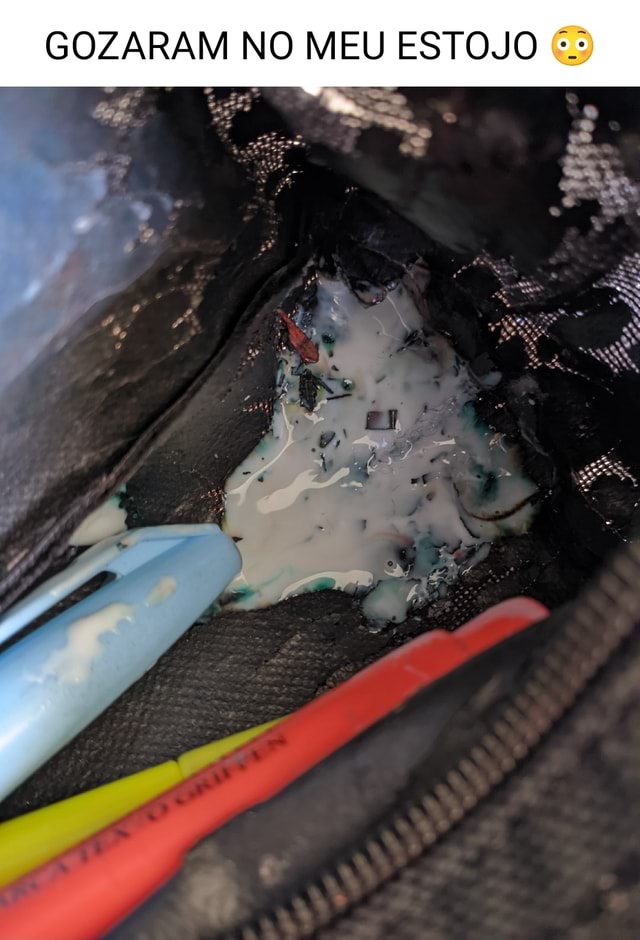 GOZARAM NO MEU ESTOJO - iFunny Brazil