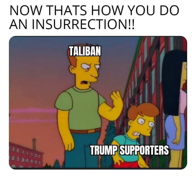 NOW THATS HOW YOU DO AN INSURRECTION!! TALIBAN SS TRUMP. SUPF 'ORTERS ...