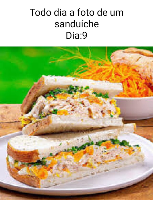 Todo dia a foto de um sanduíche - iFunny Brazil