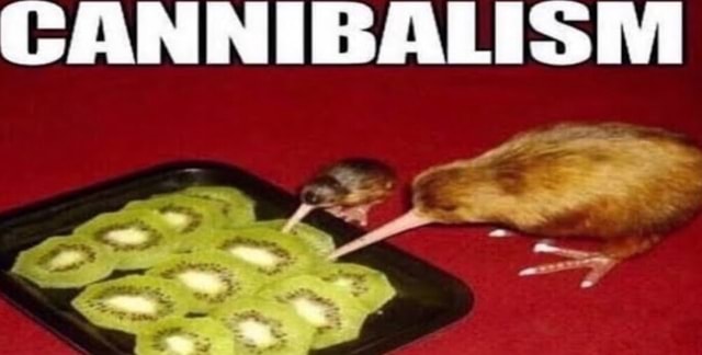 CANNIBALISM - iFunny Brazil