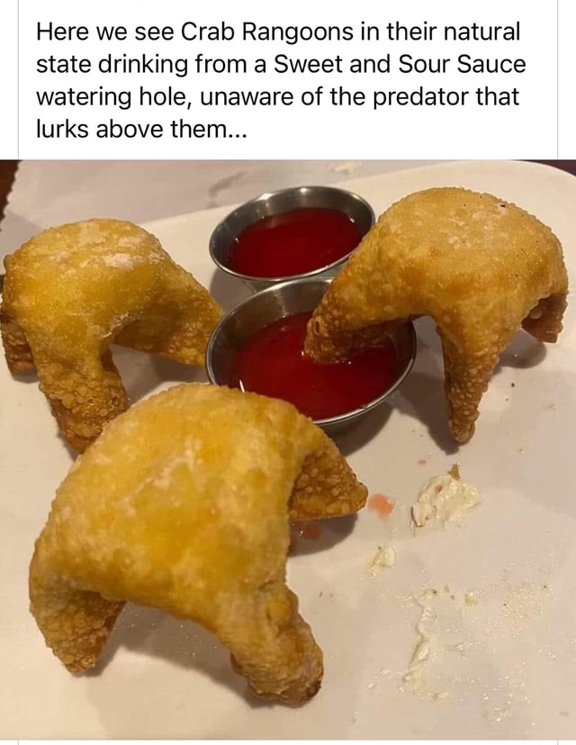 The rangoons rangooning - Here we see Crab Rangoons in their natural ...