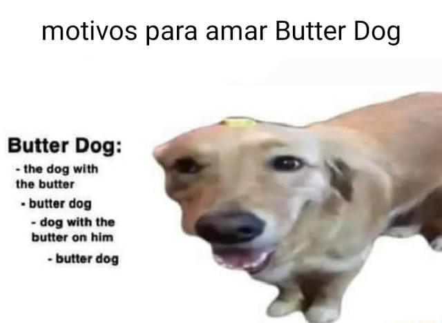 Motivos para amar Butter Dog Butter Dog: the dog with the butter butter ...