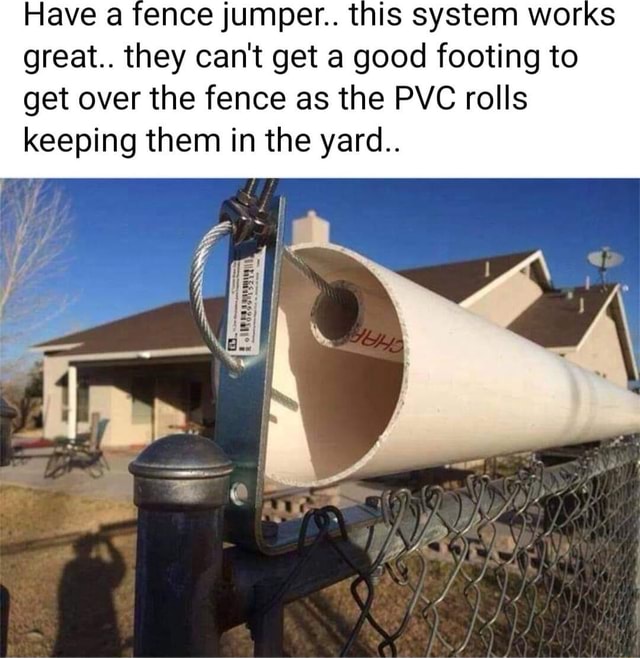 Have a fence jumper.. this system works great.. they can't get a good ...