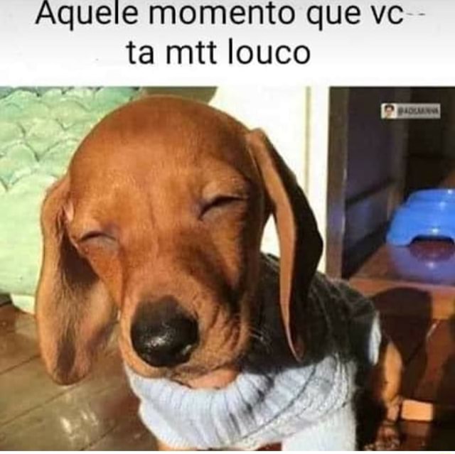 Aquele momento que vc ta mtt louco - iFunny Brazil