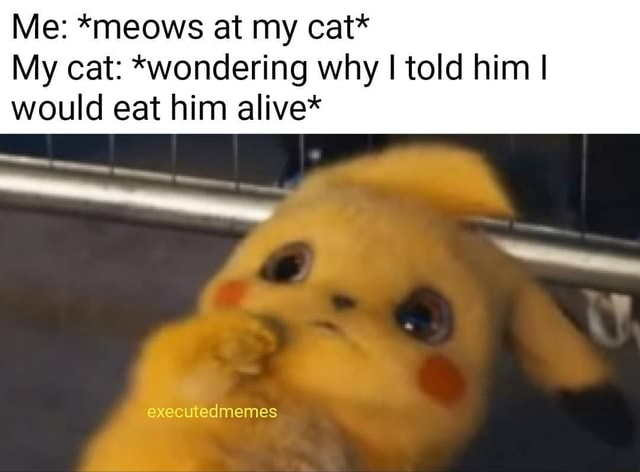 Me: *meows at my cat* My cat: *wondering why I told him I would eat him ...