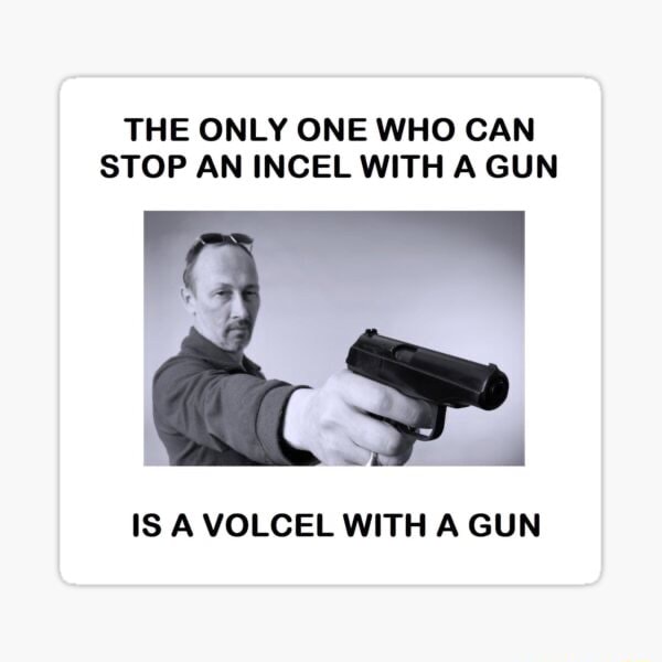 THE ONLY ONE WHO CAN STOP AN INCEL WITH A GUN IS A VOLCEL WITH A GUN ...